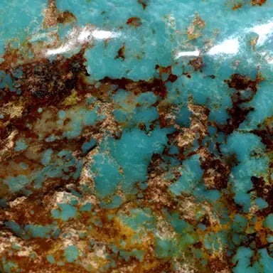 Turquoise – Collector Bookstore